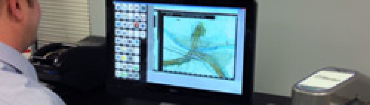 The Crowley Company | Book, Microfilm, & Document Scanning Solutions